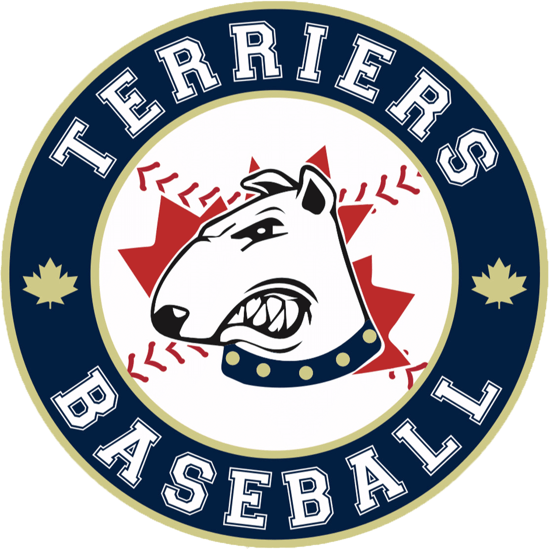 Baseball Training | Terriers Baseball | ON